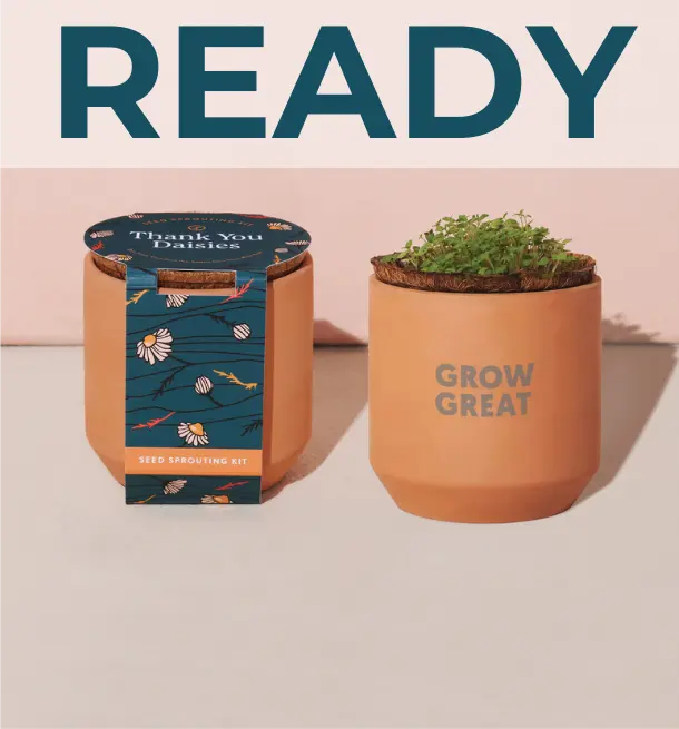 Corporate Gifting Made Easy with Ready Set Gift